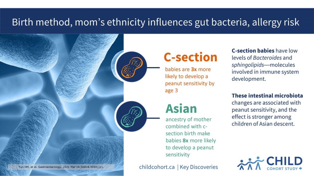 Birth method, mom’s ethnicity influences gut bacteria, allergy risk ...